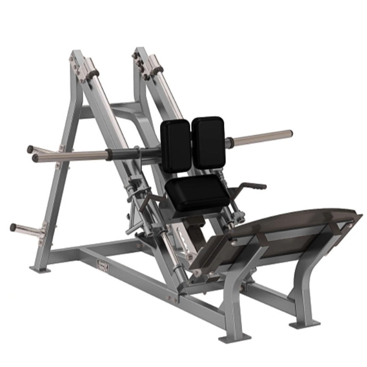 Sentadilla Lineal Hack con pesas de Hammer Strength – Fitness For Life ...