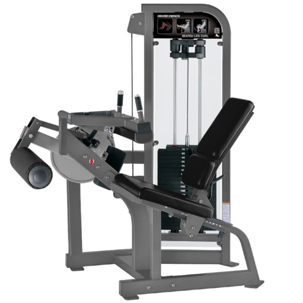 Flexión de Rodillas Sentado Selectorizado Hammer Strength | Fitness For ...